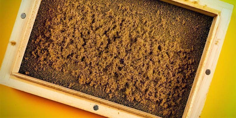 How To Make Dry Sift Hash | Step-By-Step Guide